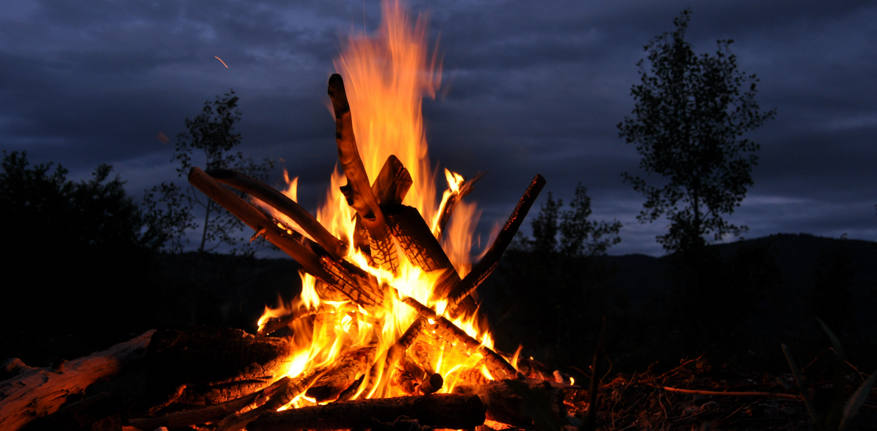 Meals in a Box by Nel's Bi-Lo Market